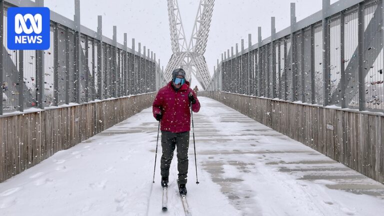 Emoción después de que un bañista encontrara un código misterioso en ...
